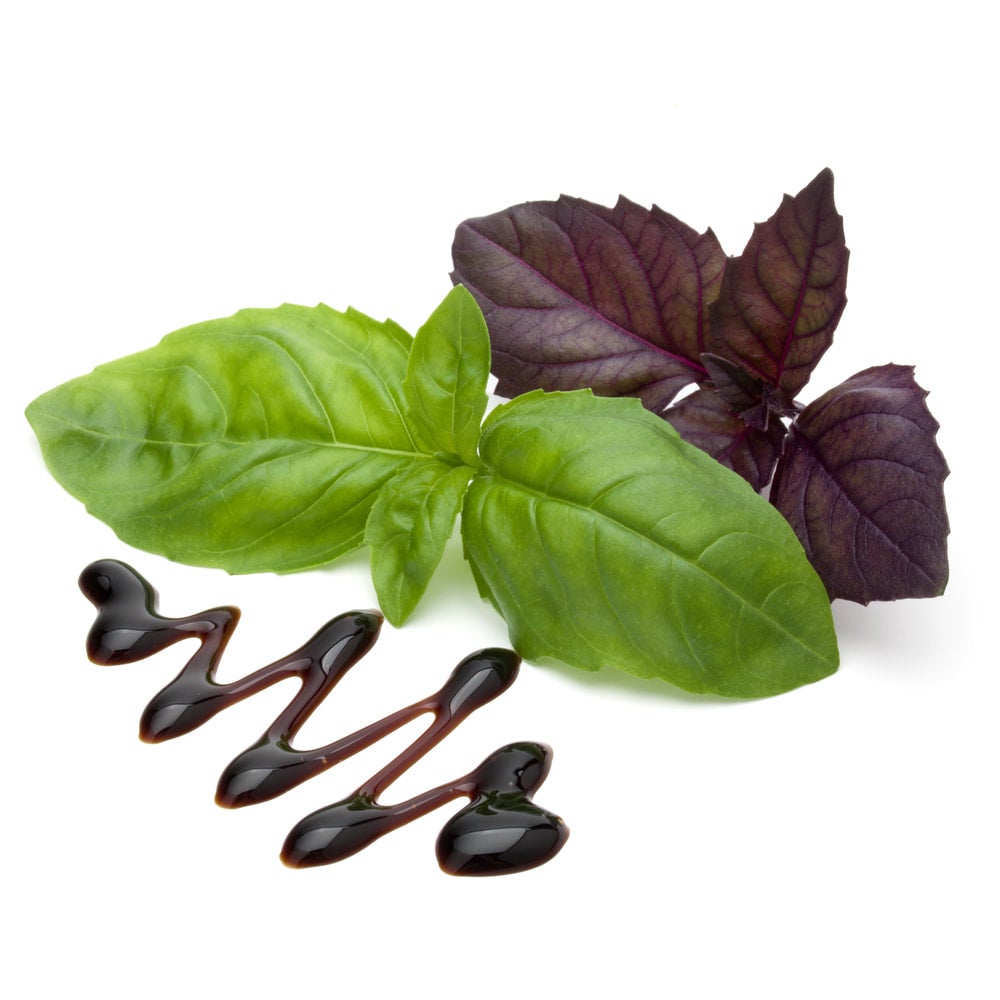 Balsamic 4-Leaf Grade - Extra Aged - 375ml/12.68 oz | Fezziwig's ...